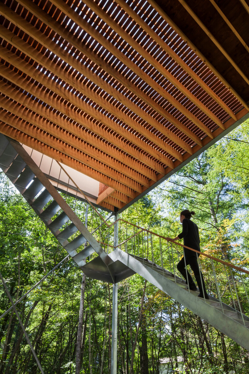 Pilotis in a Forest | Go Hasegawa and Associates